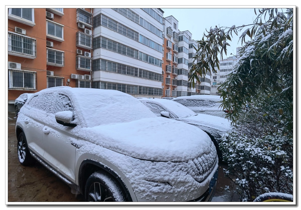 下雪了 2【2023-0044】-中关村在线摄影论坛
