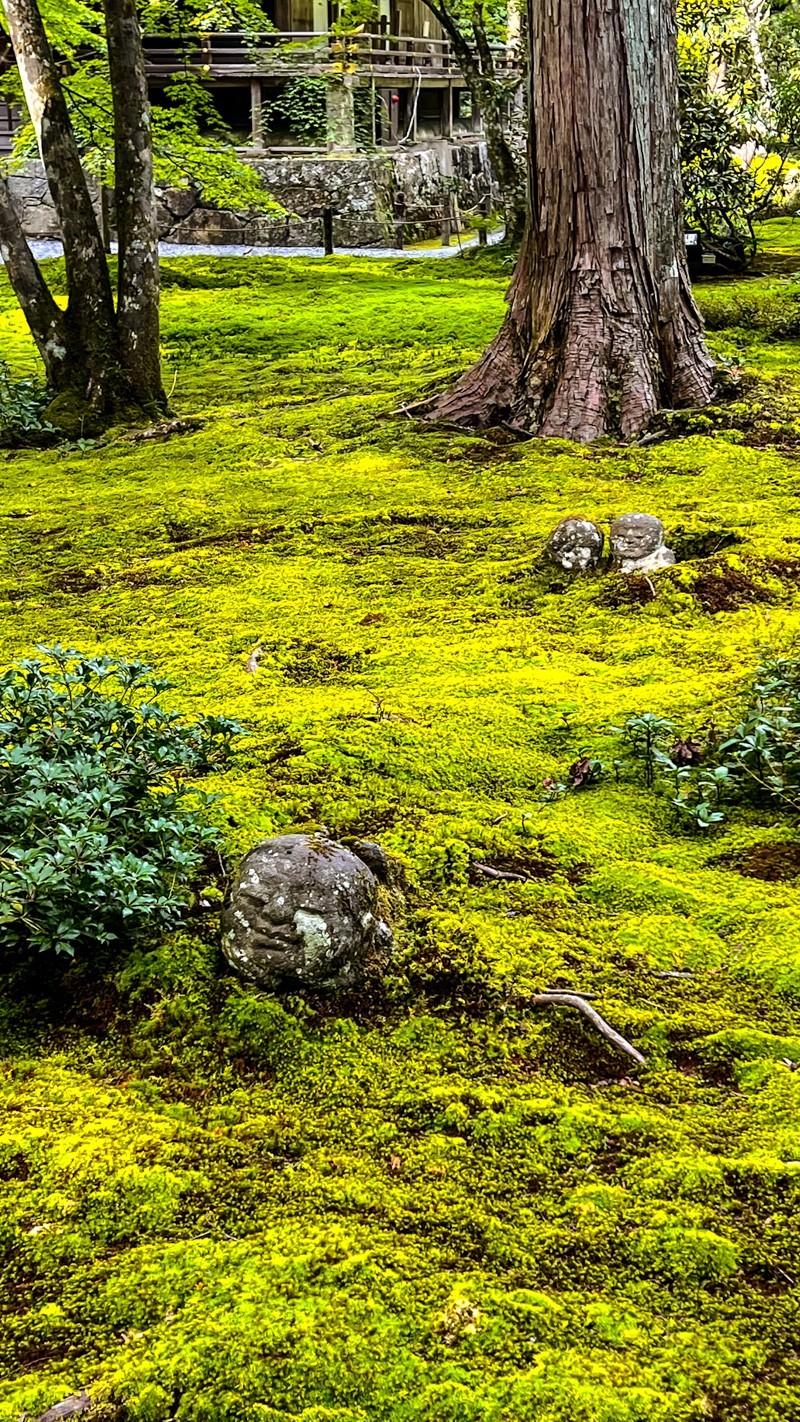 2023年第0761贴-人文风光纪实抓拍（1009）-中关村在线摄影论坛