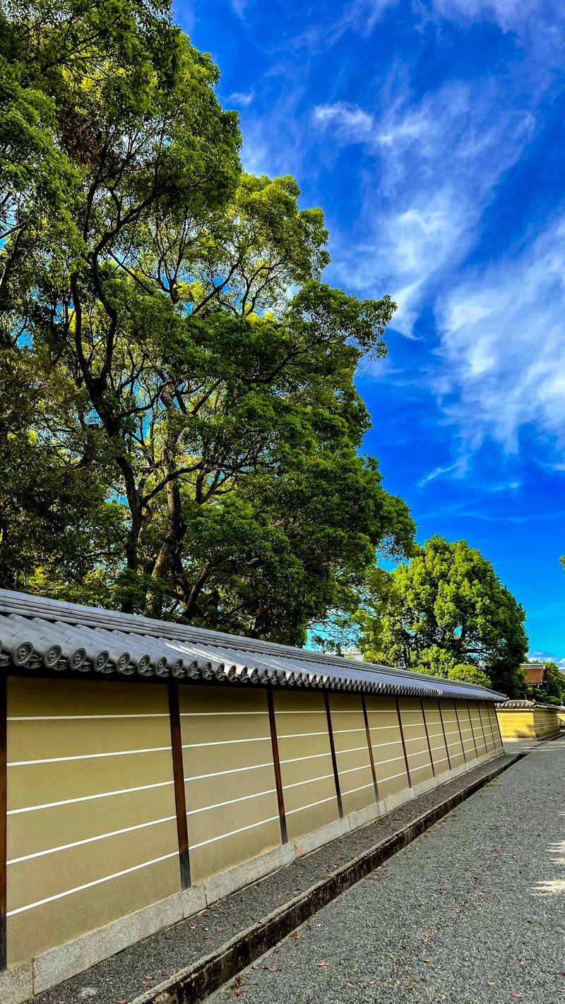 2023年第0761贴-人文风光纪实抓拍（1009）-中关村在线摄影论坛