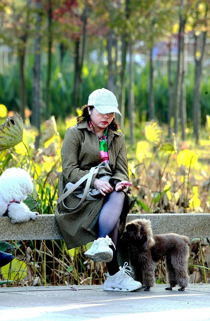 园拍 281-中关村在线摄影论坛