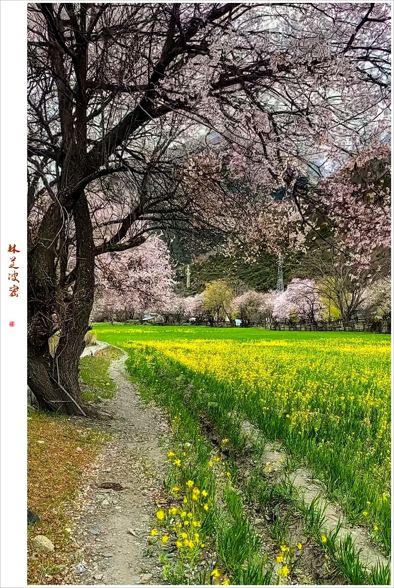 2023年第0317贴-林芝波密抓拍（0507F）-中关村在线摄影论坛