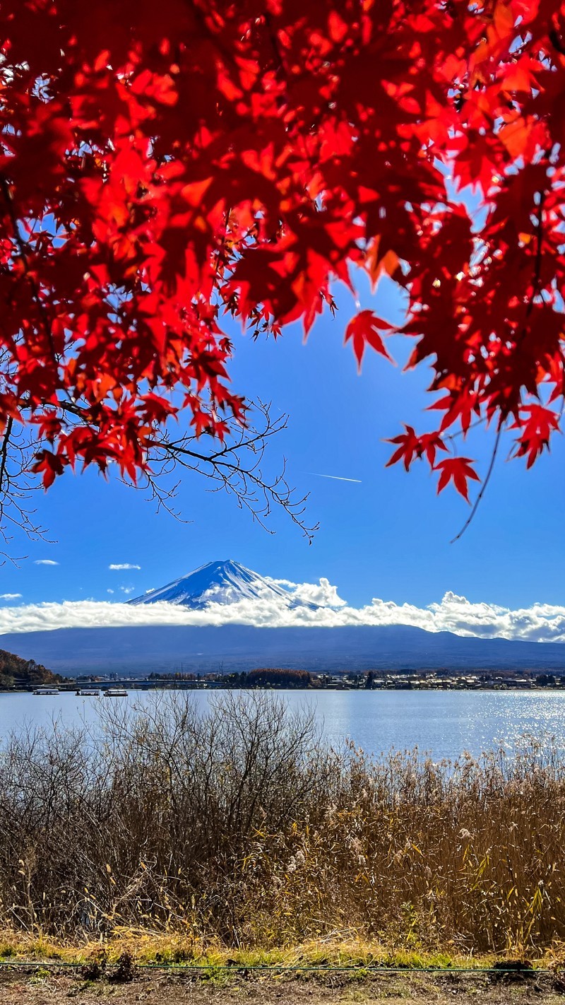 2023年第0763贴-人文风光纪实抓拍（1009）-中关村在线摄影论坛