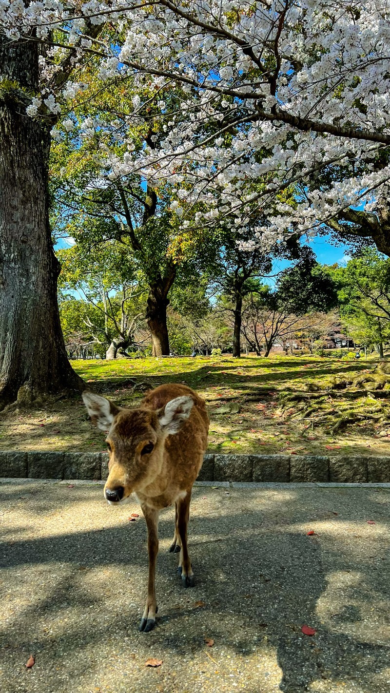 2023年第0763贴-人文风光纪实抓拍（1009）-中关村在线摄影论坛
