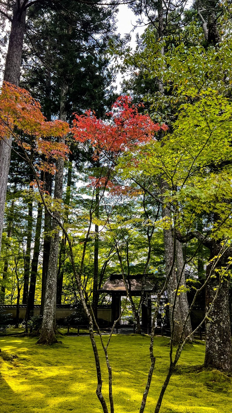 2023年第0763贴-人文风光纪实抓拍（1009）-中关村在线摄影论坛
