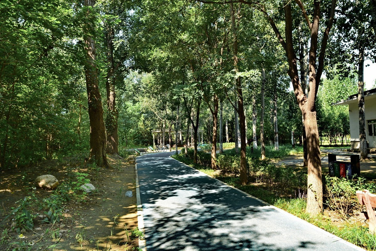 2023-127 森林小到-中关村在线摄影论坛