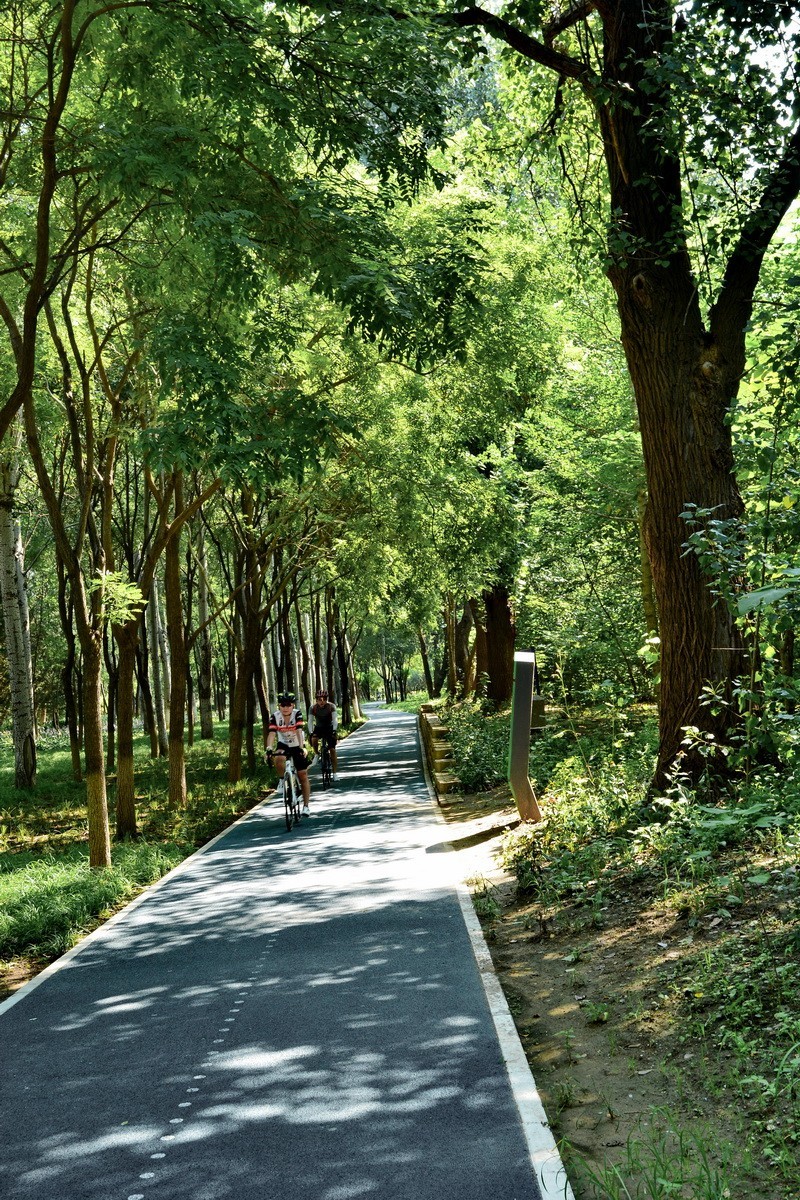 2023-127 森林小到-中关村在线摄影论坛