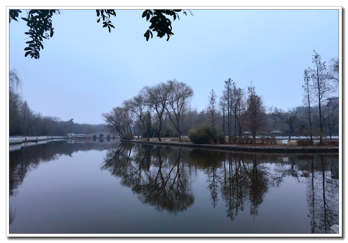 癸卯年正月随拍 1【2023-0132】-中关村在线摄影论坛