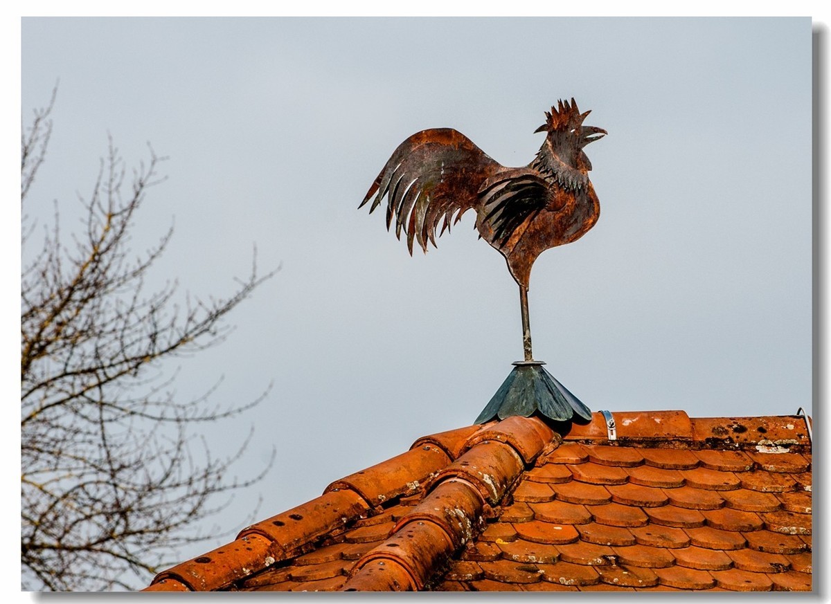 城镇风情特写-中关村在线摄影论坛
