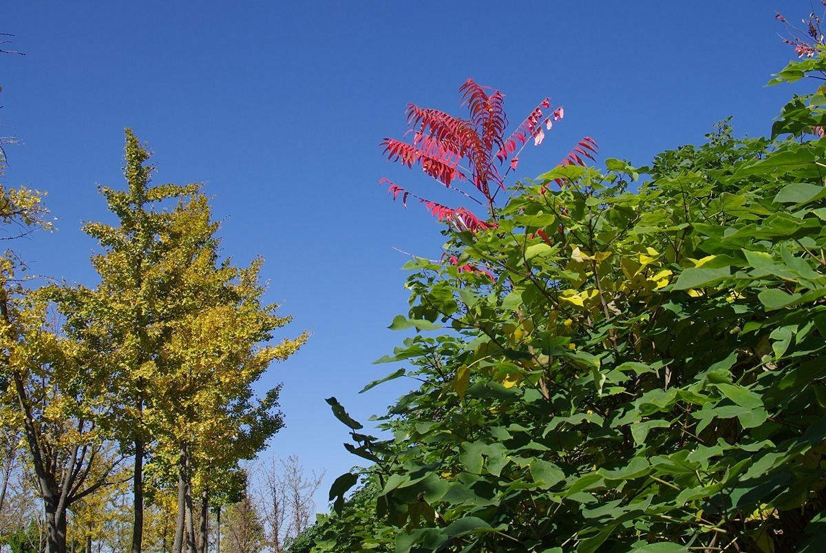 晴空丽日-22P-中关村在线摄影论坛