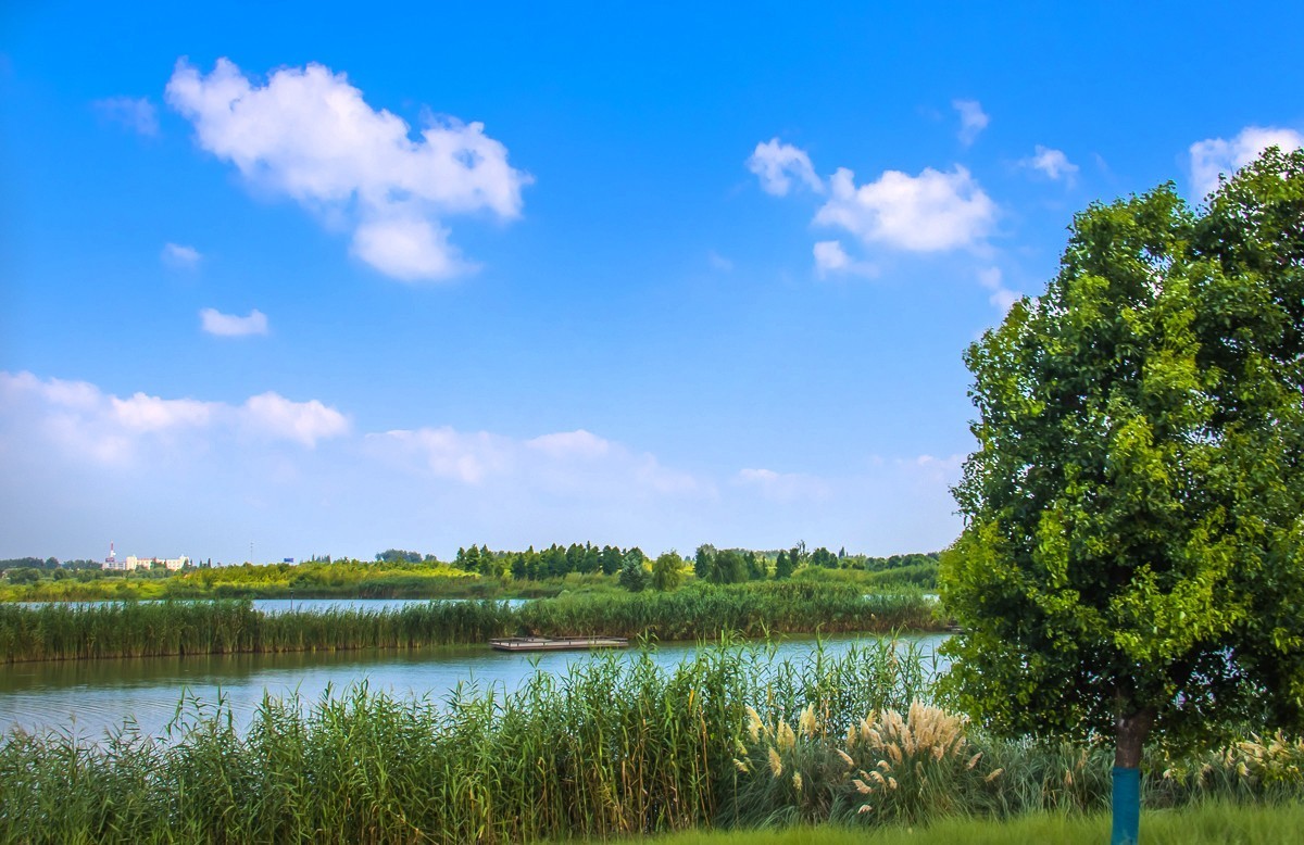 2023-08-16扬州北湖湿地公园（十三）-中关村在线摄影论坛