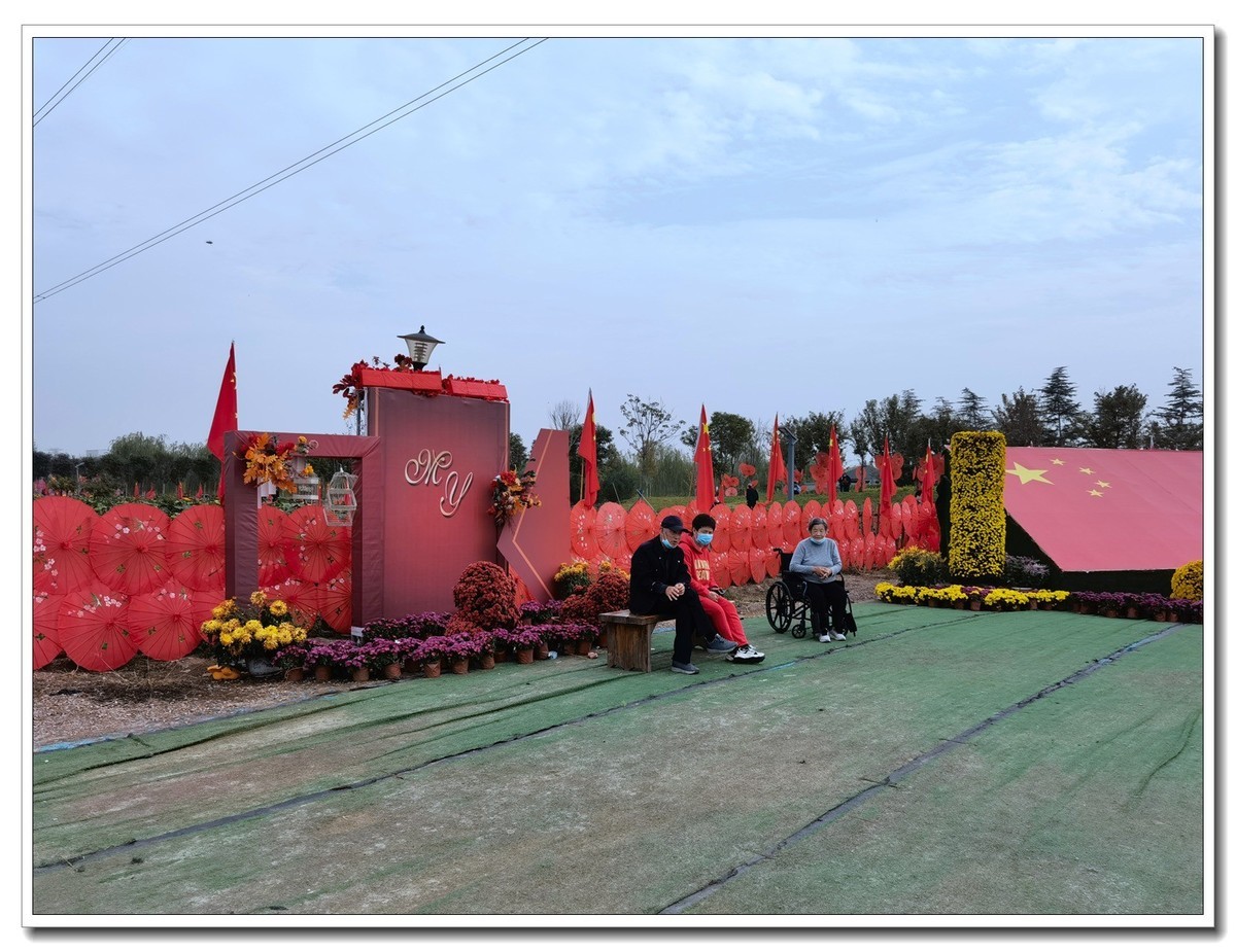 樱花小镇菊花开 2【2022-0823】-中关村在线摄影论坛