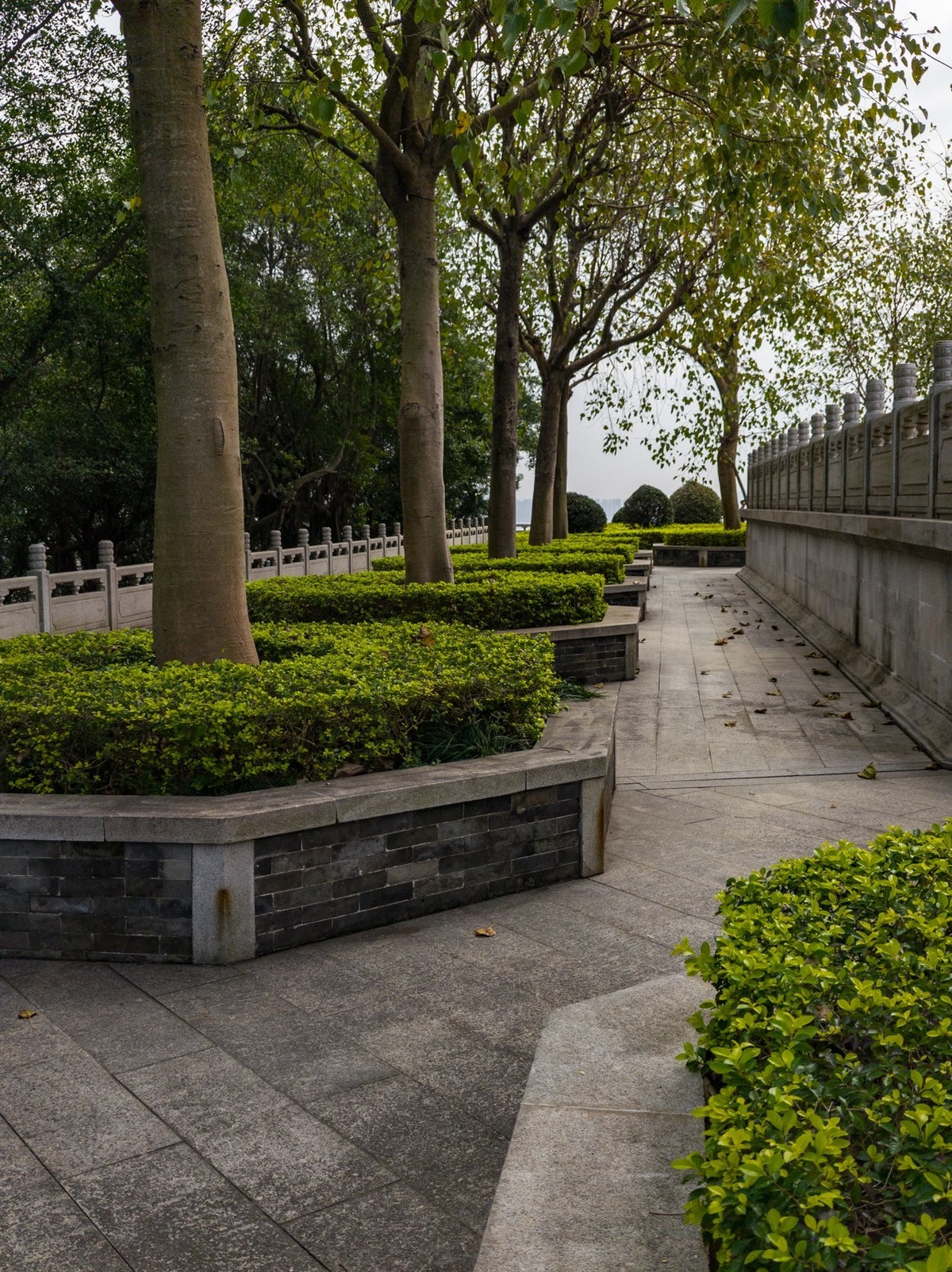 公园踏青（十六）-中关村在线摄影论坛