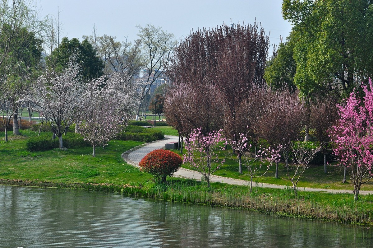 春日游摄-中关村在线摄影论坛