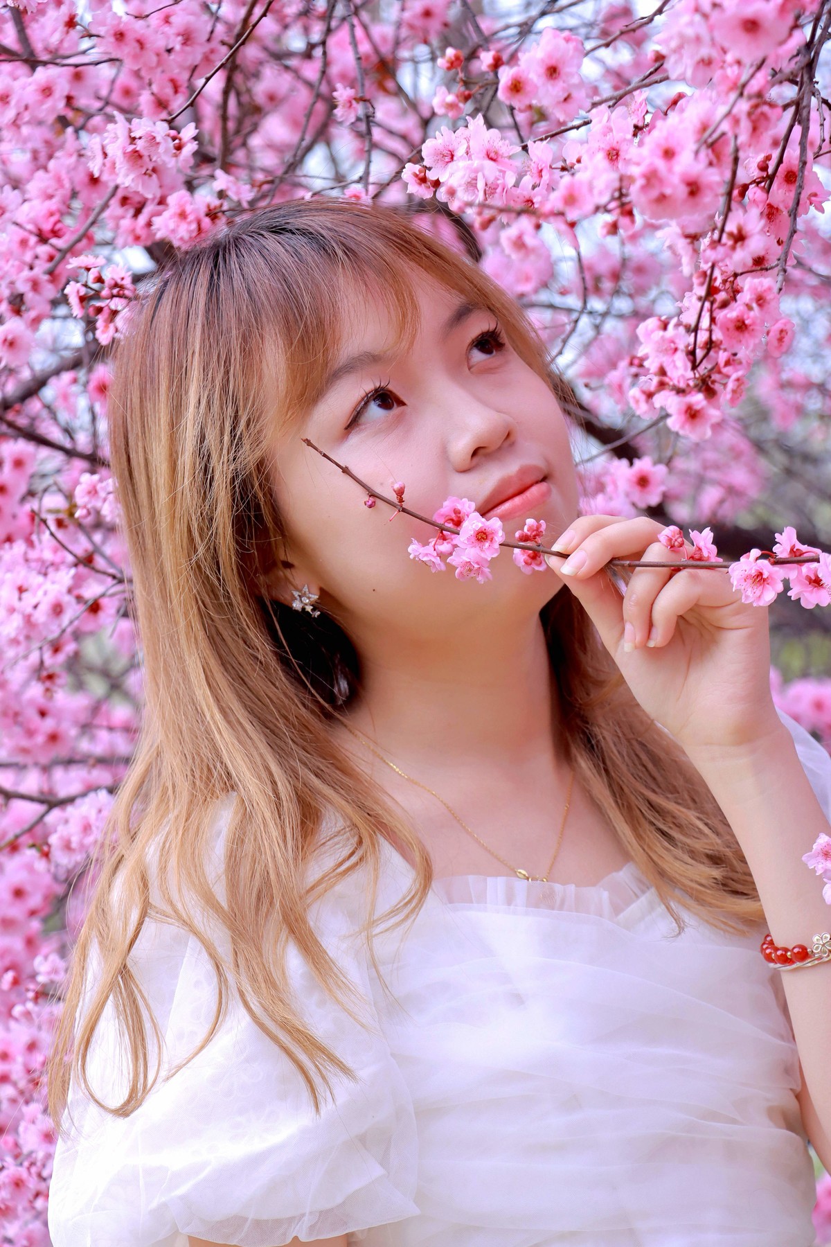 2024-85-中关村在线摄影论坛