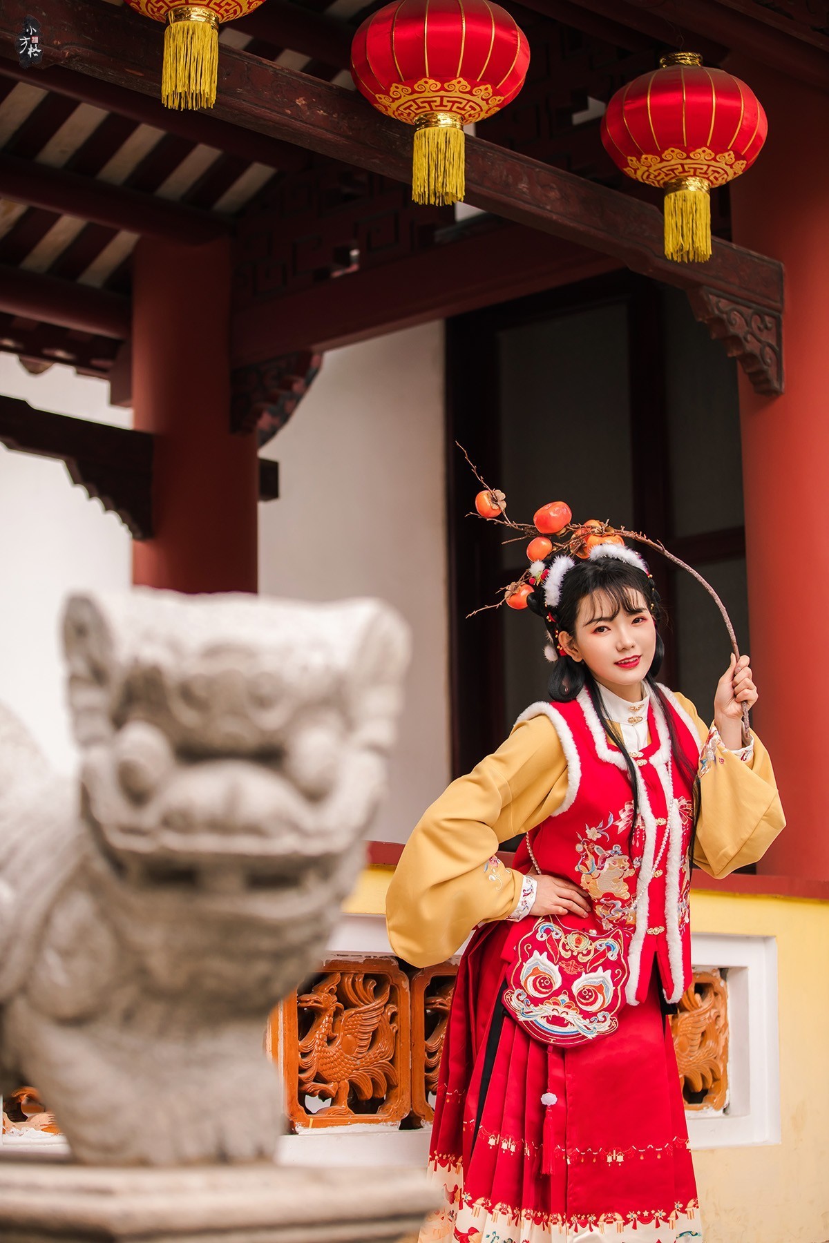 年前拍的一组新年主题摄影。-中关村在线摄影论坛