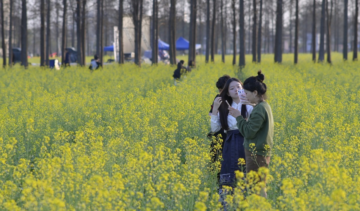 尼康Z72-中关村在线摄影论坛