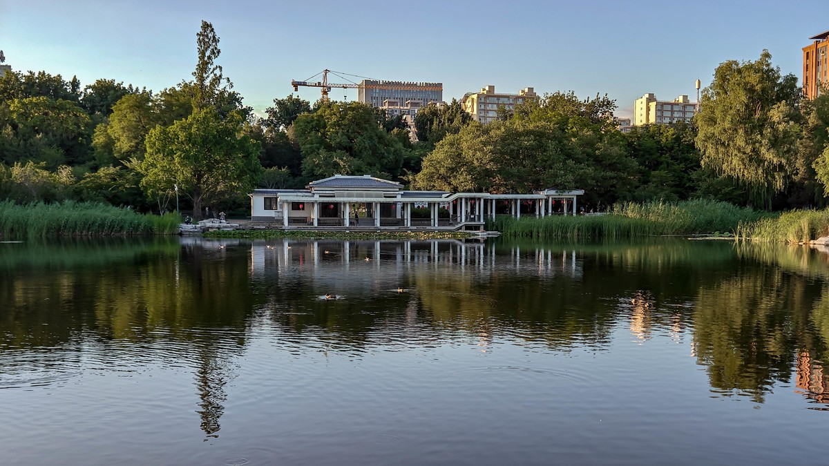 手机随拍20230620《77》-中关村在线摄影论坛