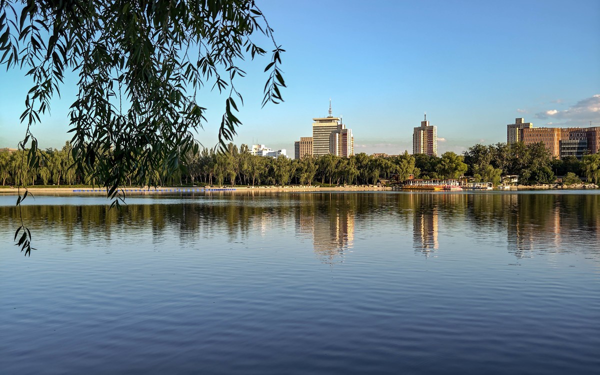 手机随拍20230620《77》-中关村在线摄影论坛