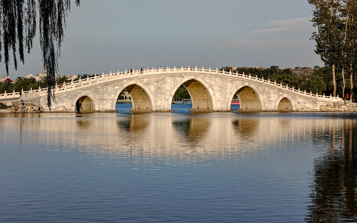 手机随拍20230620《77》-中关村在线摄影论坛