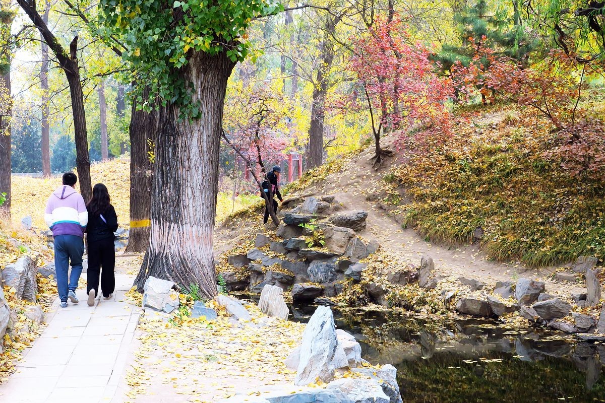 圆明园秋【十一】-中关村在线摄影论坛
