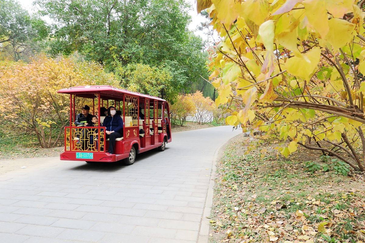 圆明园秋【十一】-中关村在线摄影论坛