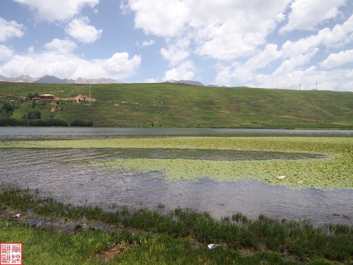 路过炉霍卡萨湖随拍（6）-中关村在线摄影论坛