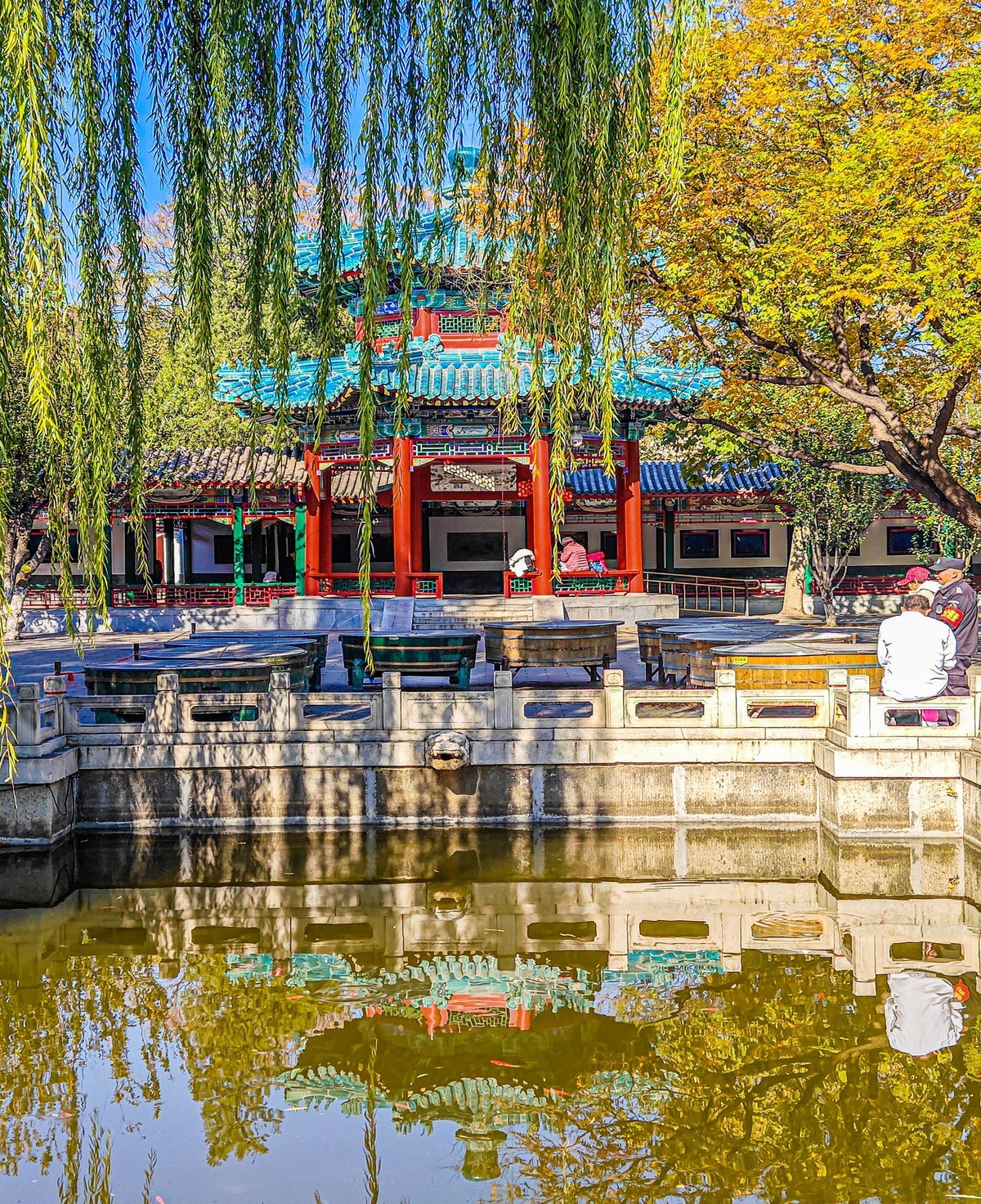 手机游拍20241105《58》-中关村在线摄影论坛