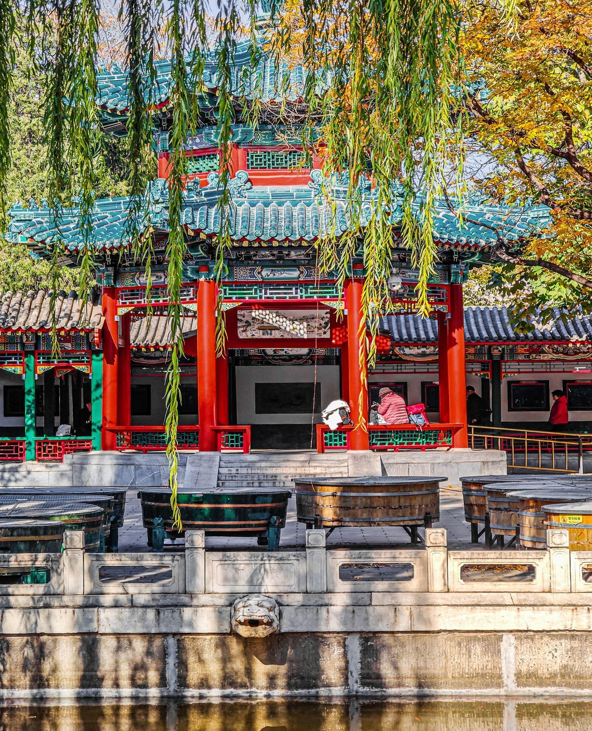 手机游拍20241105《58》-中关村在线摄影论坛