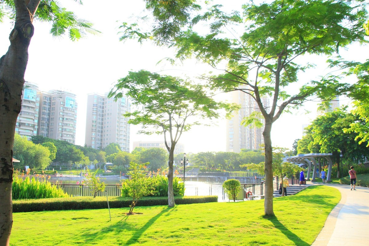 美丽的集美湾海边风光摄影机-93-中关村在线摄影论坛