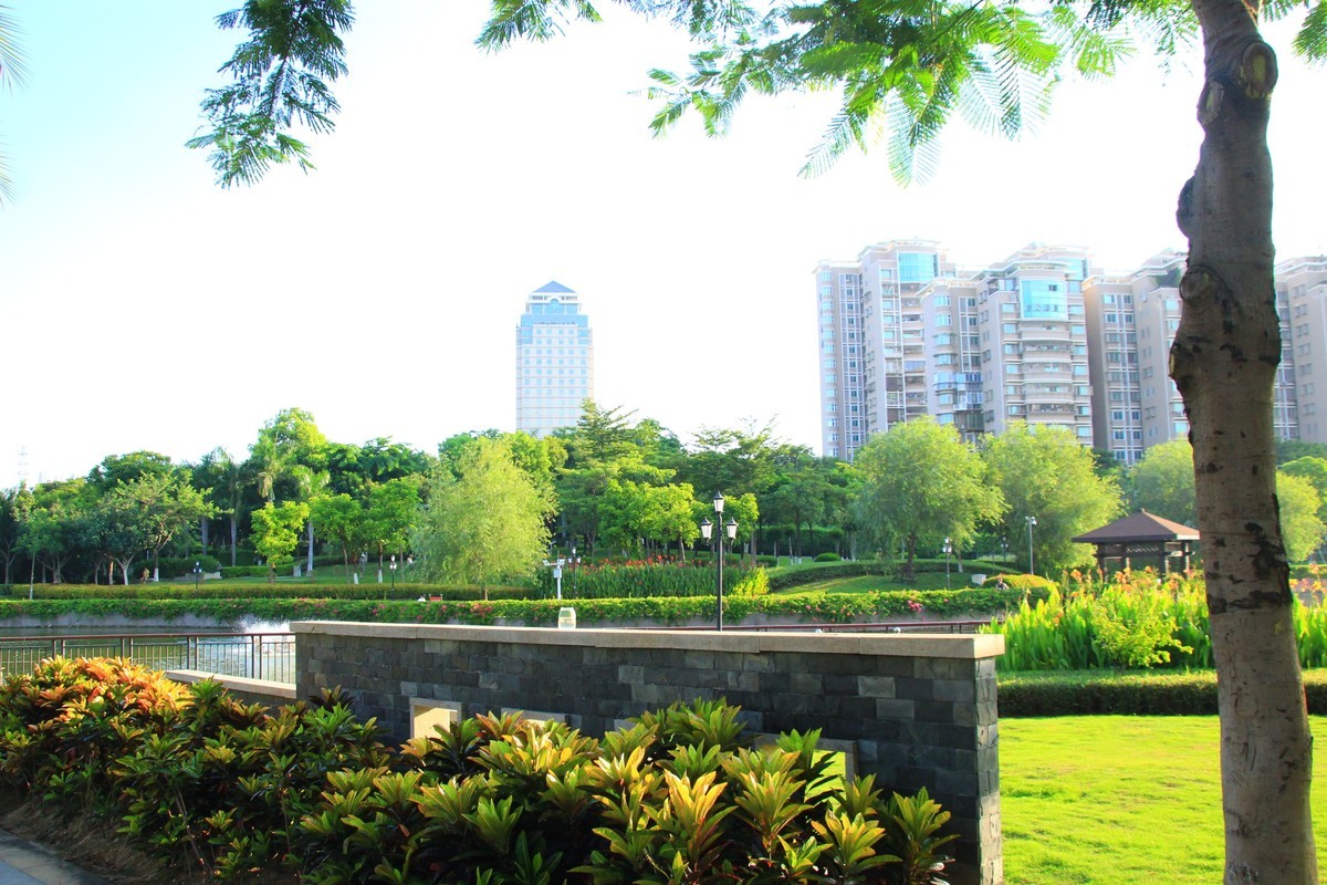 美丽的集美湾海边风光摄影机-93-中关村在线摄影论坛