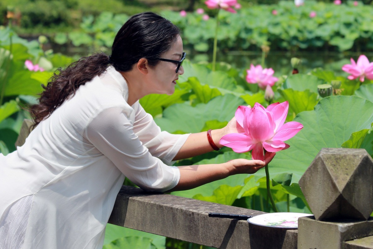 赏荷-中关村在线摄影论坛