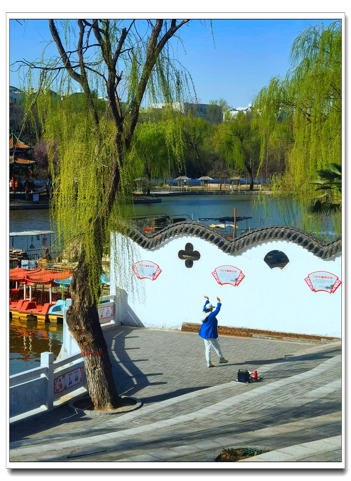 柳绿花红 3【2023-0227】-中关村在线摄影论坛