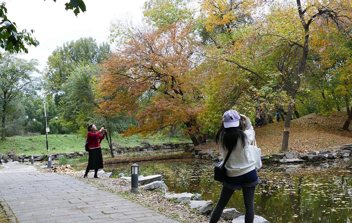 圆 明 园 秋【二】-中关村在线摄影论坛