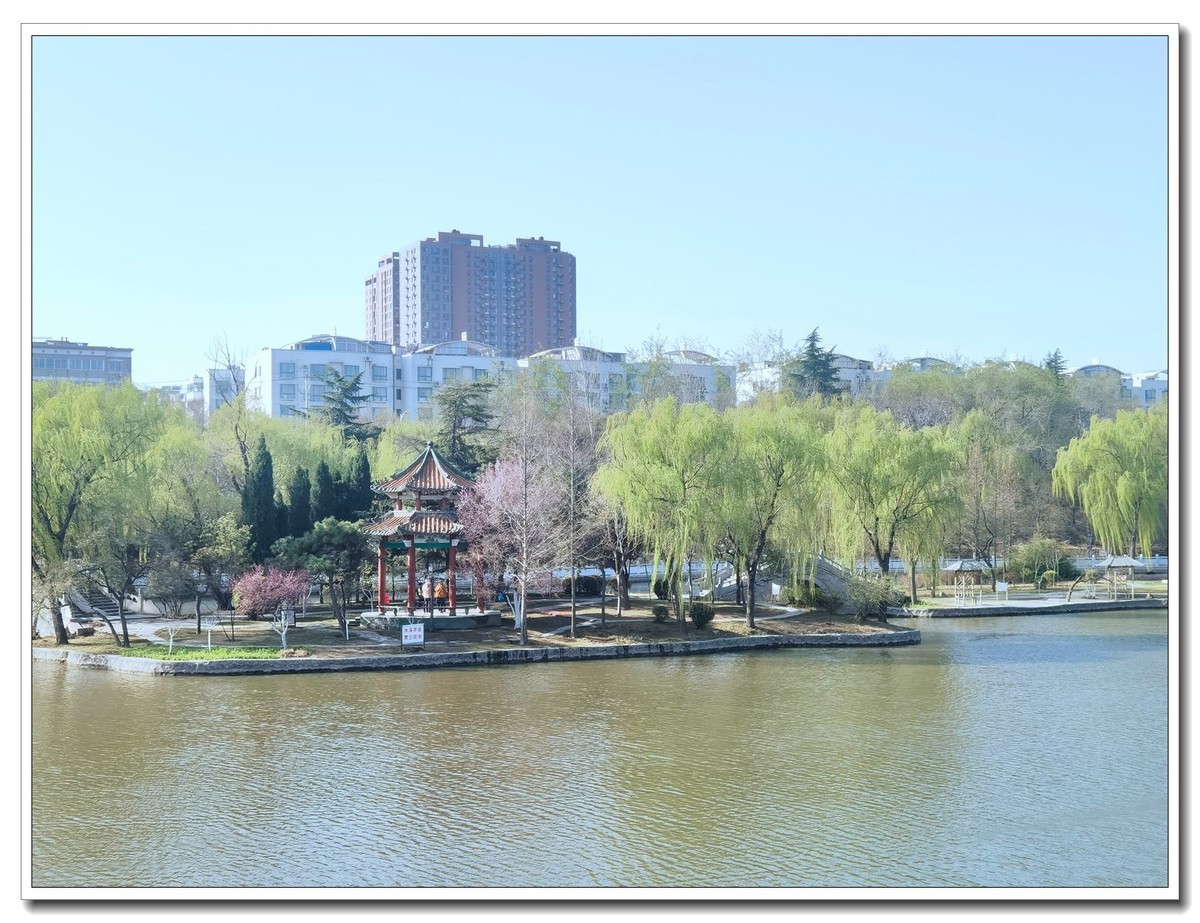 柳绿花红 2【2023-0226】-中关村在线摄影论坛