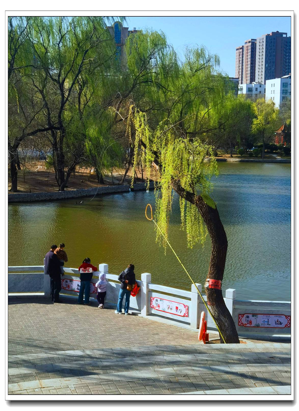 柳绿花红 3【2023-0227】-中关村在线摄影论坛