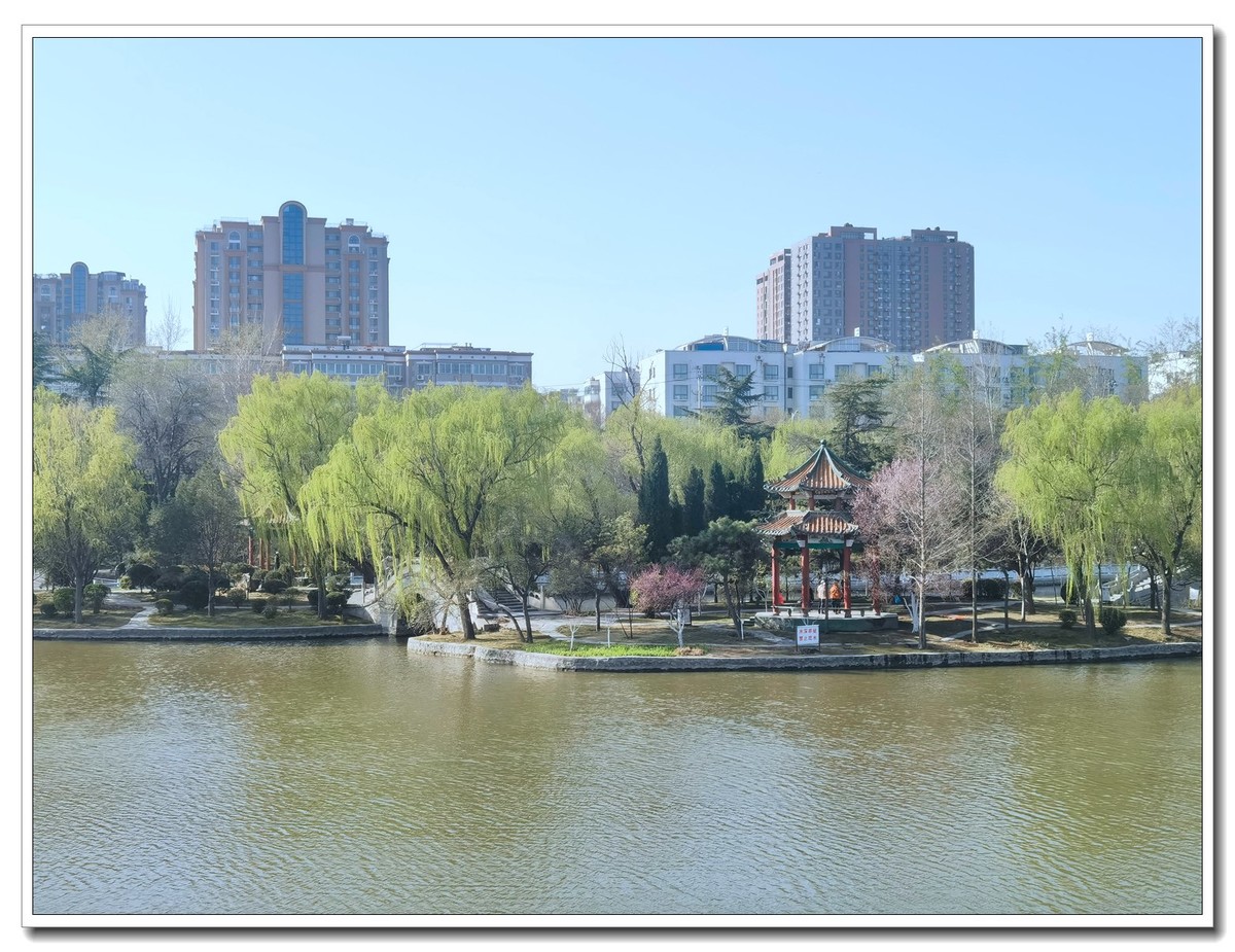 柳绿花红 3【2023-0227】-中关村在线摄影论坛