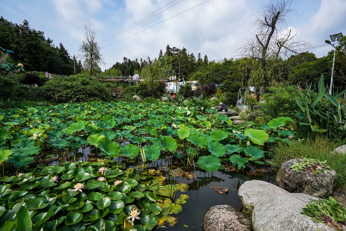 高庙略影-1-中关村在线摄影论坛