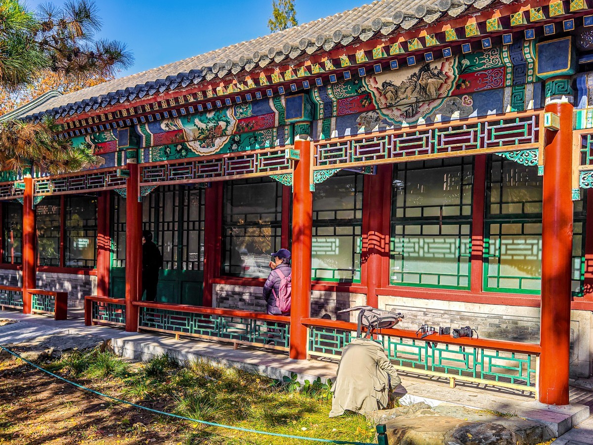 手机游拍20241105《12》-中关村在线摄影论坛