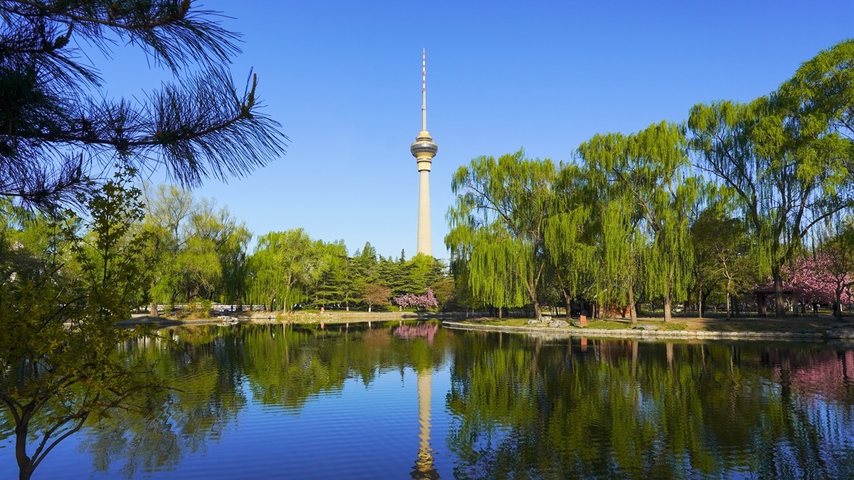 中央电视塔-中关村在线摄影论坛