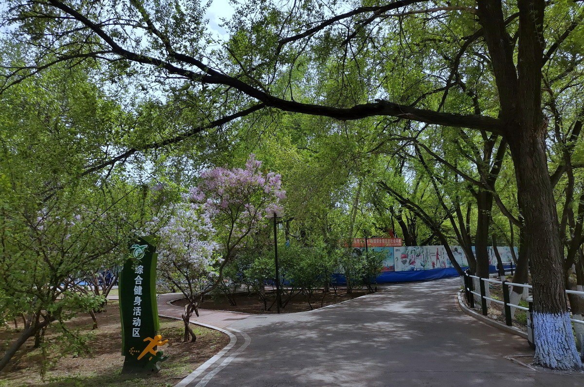 初夏黛秀园-中关村在线摄影论坛