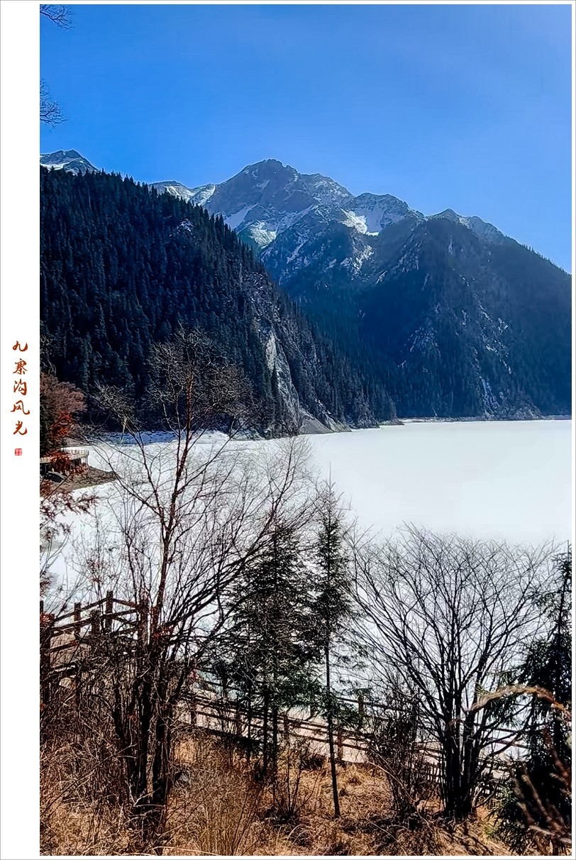 2023年第0171贴-九寨沟抓拍集锦（0317F）-中关村在线摄影论坛