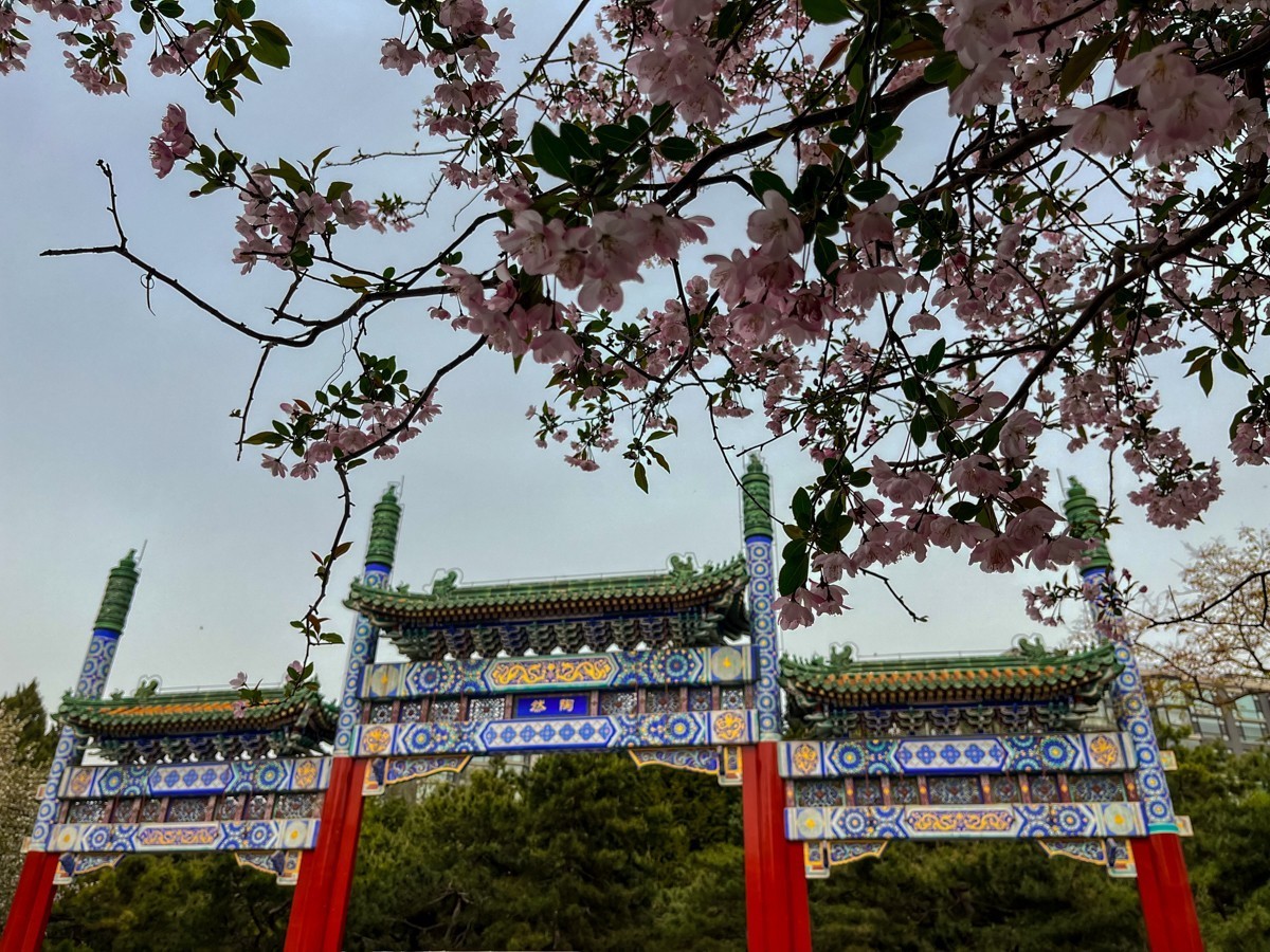 2023年第0246贴-陶然亭公园纪实抓拍（0413F）-中关村在线摄影论坛