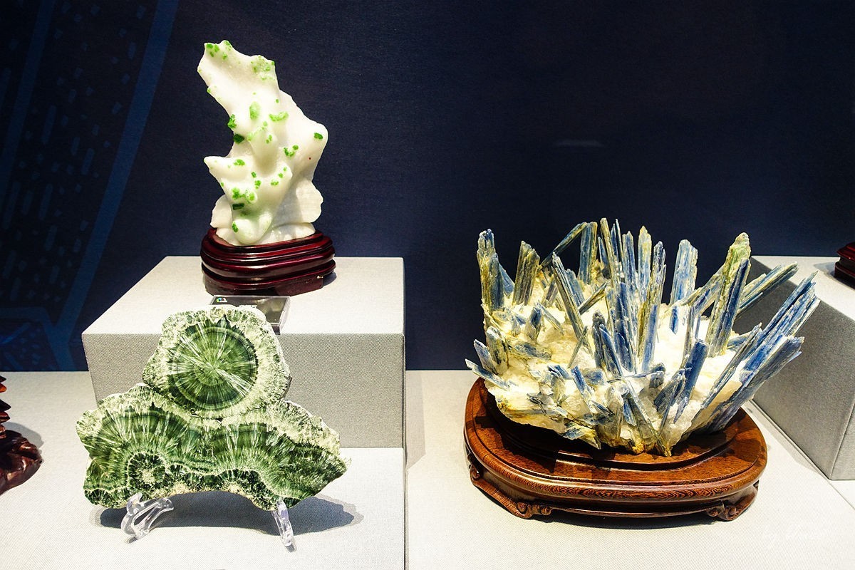 浙江省地质博物馆纪实【上】-中关村在线摄影论坛