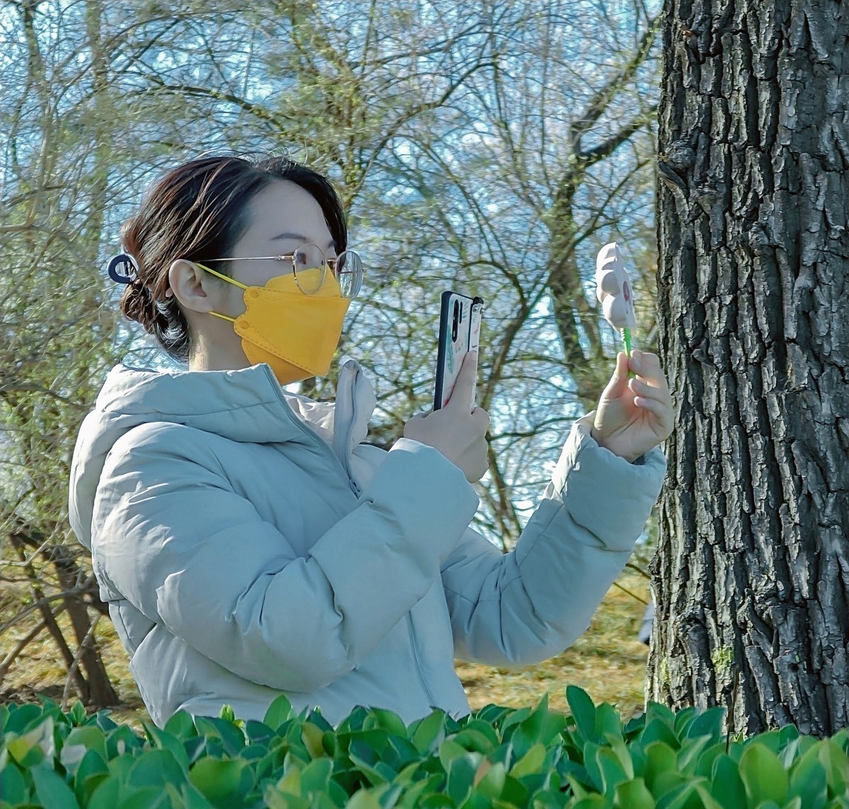 手机随拍20230318《17》-中关村在线摄影论坛