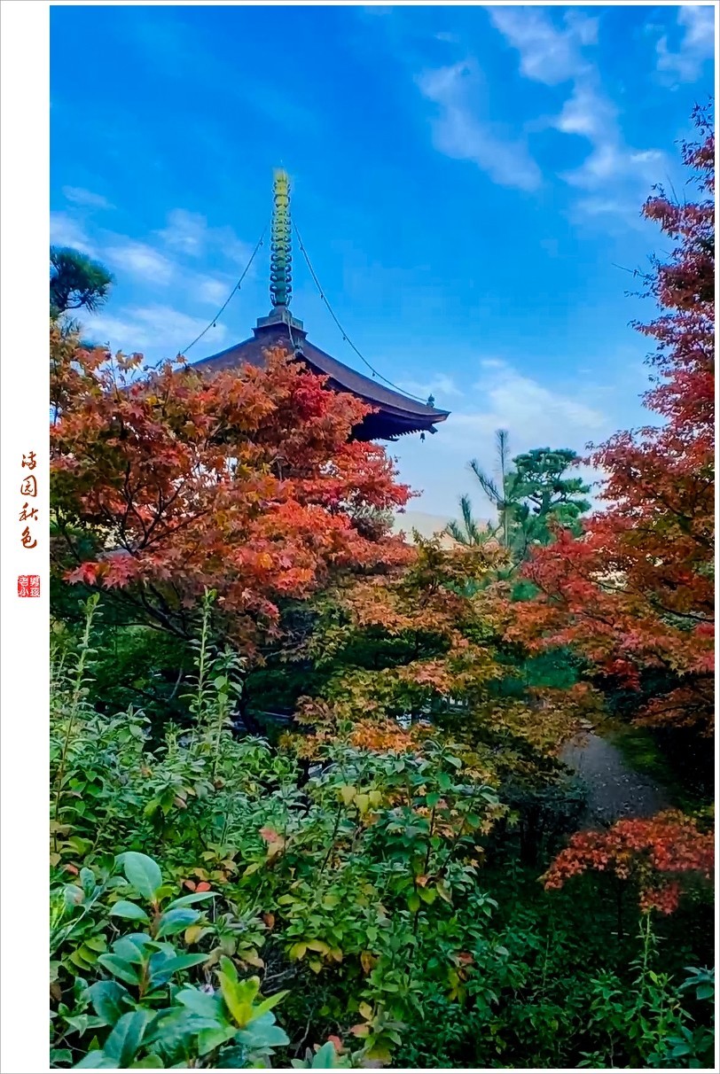 2022年第956贴-京都岚山云拍-320（1121F）-中关村在线摄影论坛