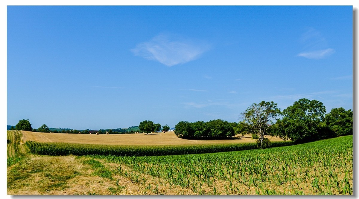 南德夏影-中关村在线摄影论坛