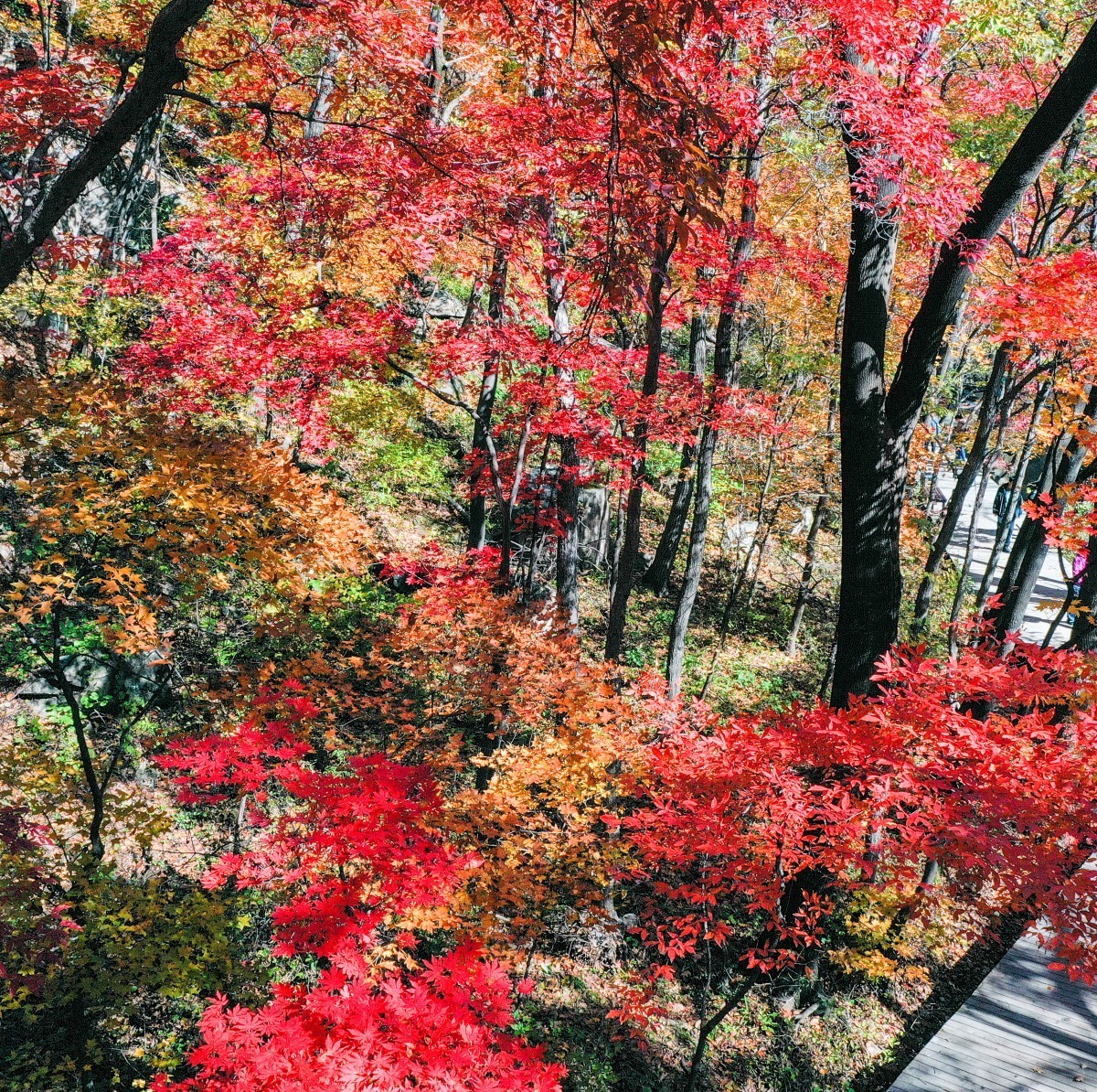 外出随拍（续200）.-中关村在线摄影论坛