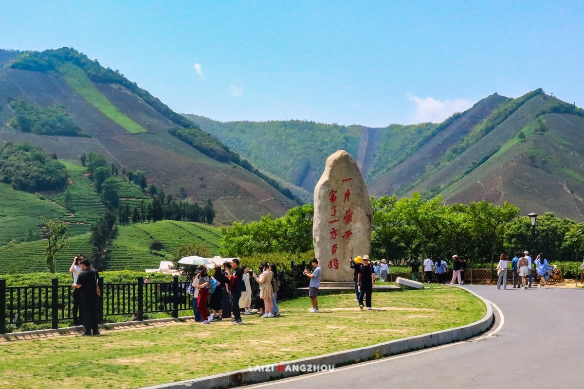 一片叶子，富了一方百姓（安吉白茶茶乡）-中关村在线摄影论坛