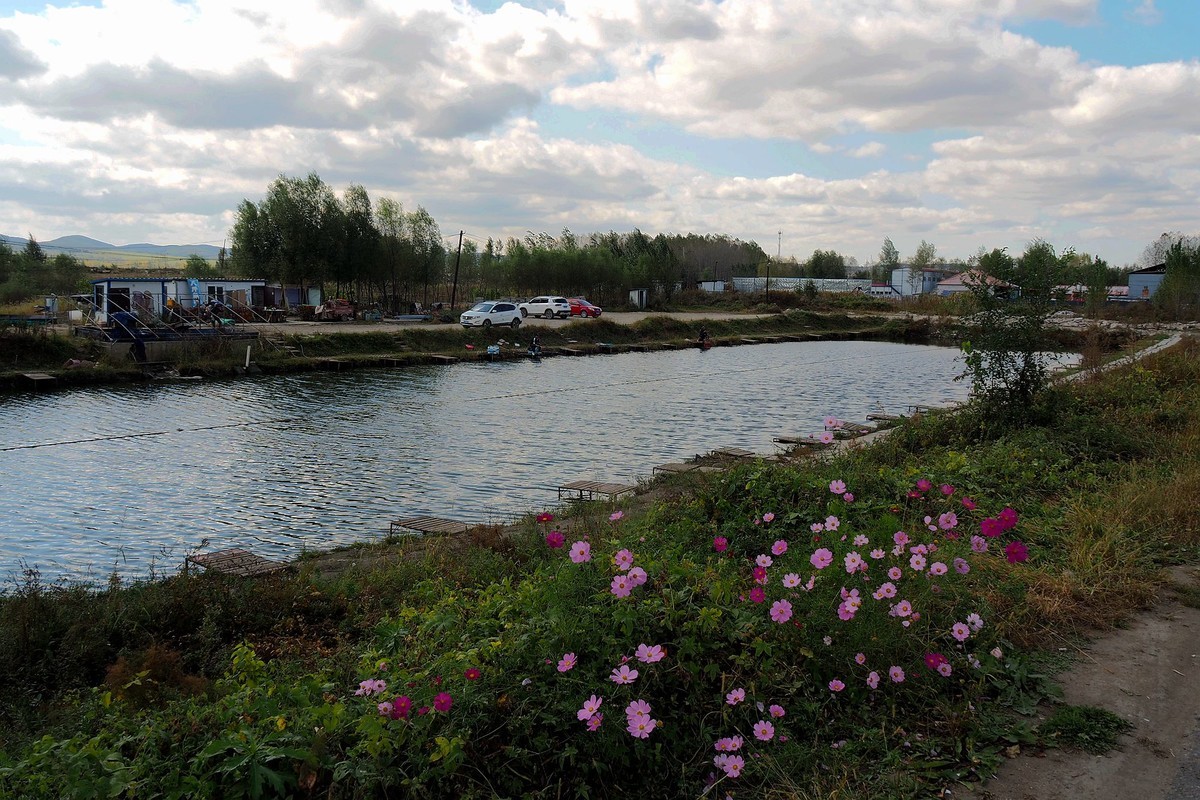 秋野（完）-中关村在线摄影论坛