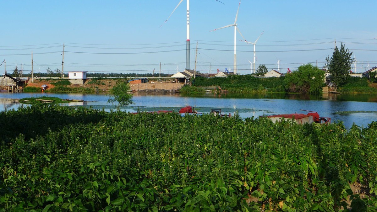 风光美景【3807】-中关村在线摄影论坛